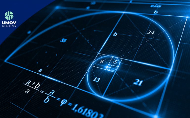 Sucesión de Fibonacci - Blog Oficial de Universidad en Línea UMOV Academy